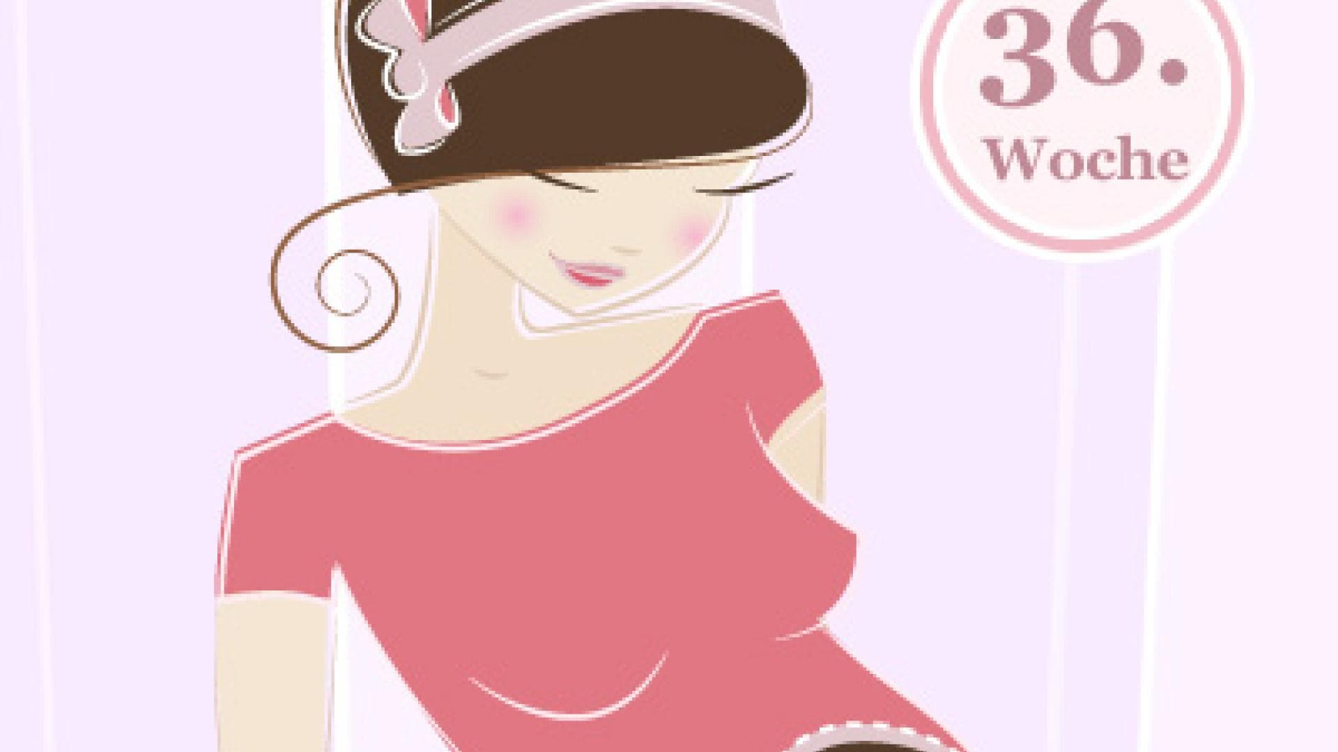 36. SSW - Das passiert in der 36. Schwangerschaftswoche