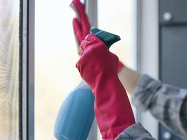 Fenster putzen mit Shampoo: So einfach geht es damit