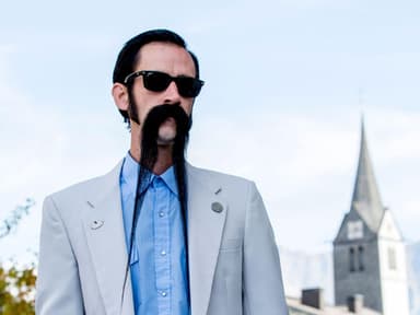 Ein Bart, zehn Punkte