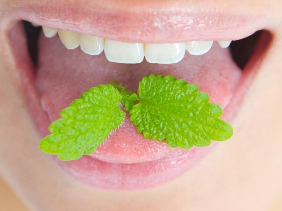 Mundgeruch: Ursachen und die besten Tipps, die helfen