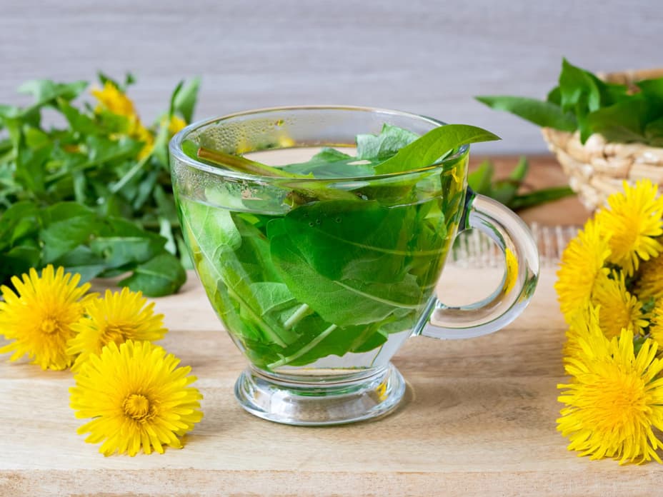 Löwenzahntee Wirkung: Alles über den unterschätzten Wunderdrink