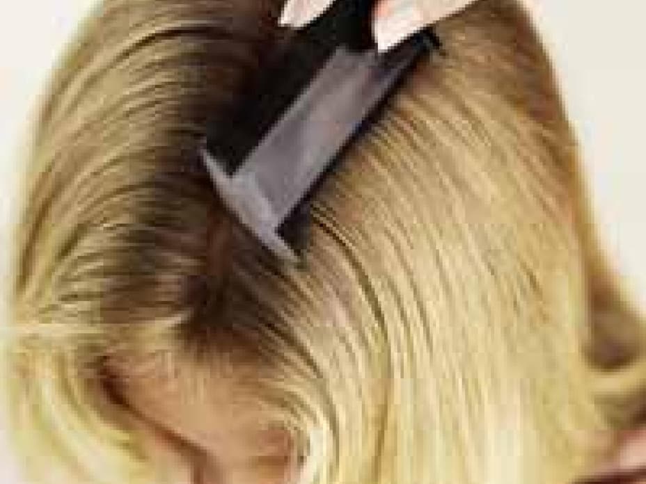 Läuse erkennen und richtig bekämpfen