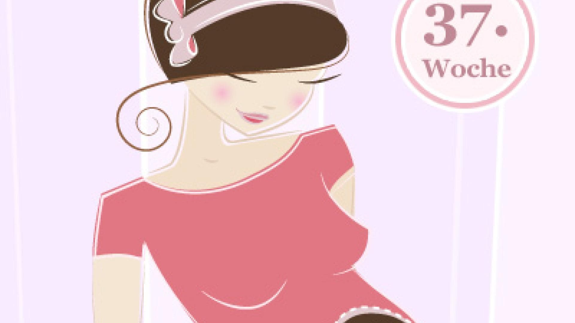 37. SSW - Einblick in die 37. Schwangerschaftswoche