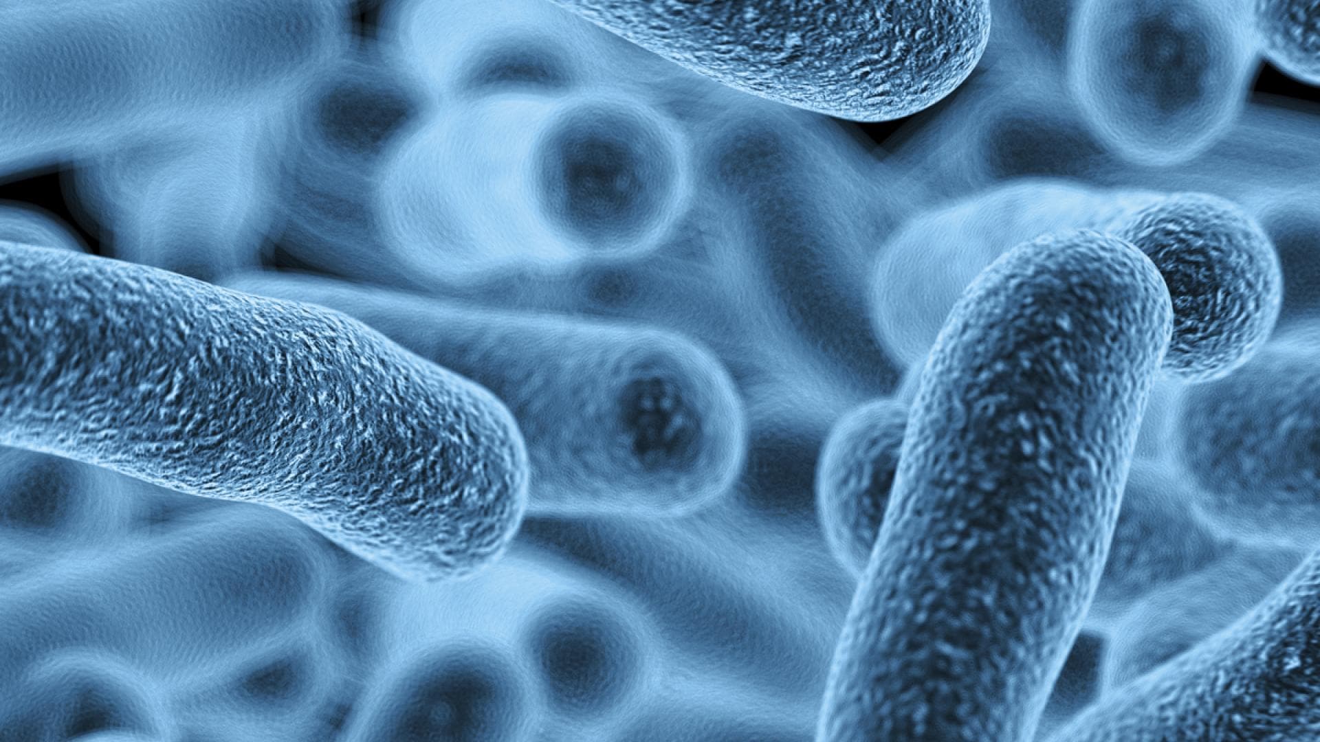 Chlamydien: Ursachen, Symptome & Therapie bei Infektion